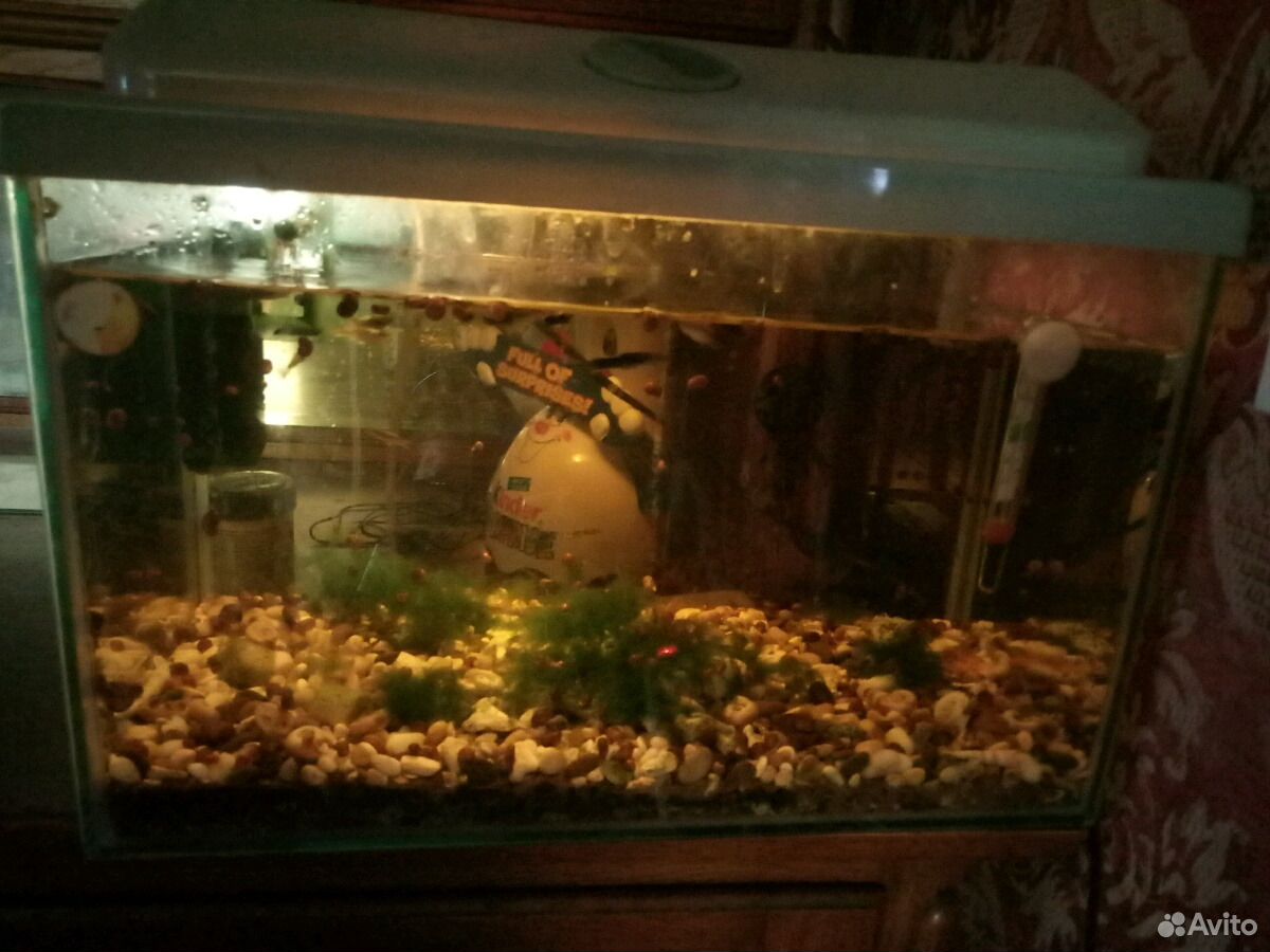 Отдам два аквариума