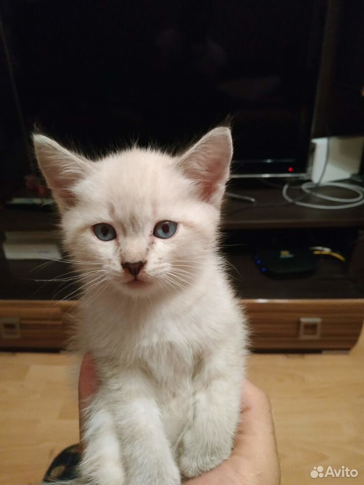 Удивительные глазки