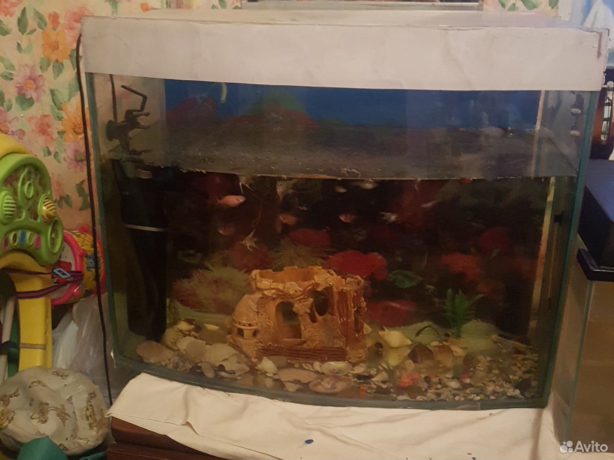 Аквариум