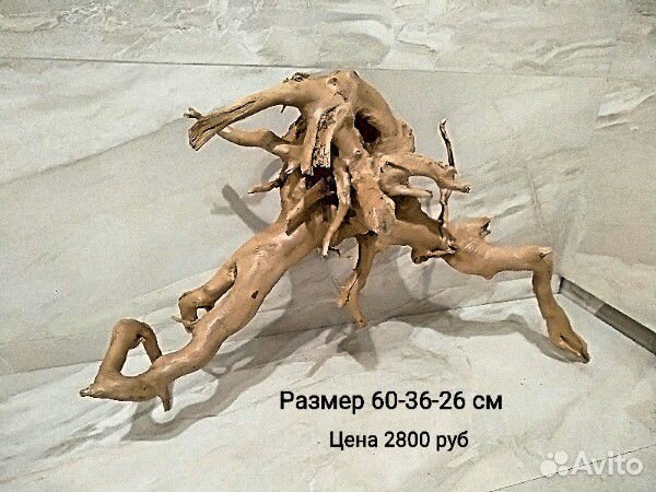 Шикарные огромные коряги
