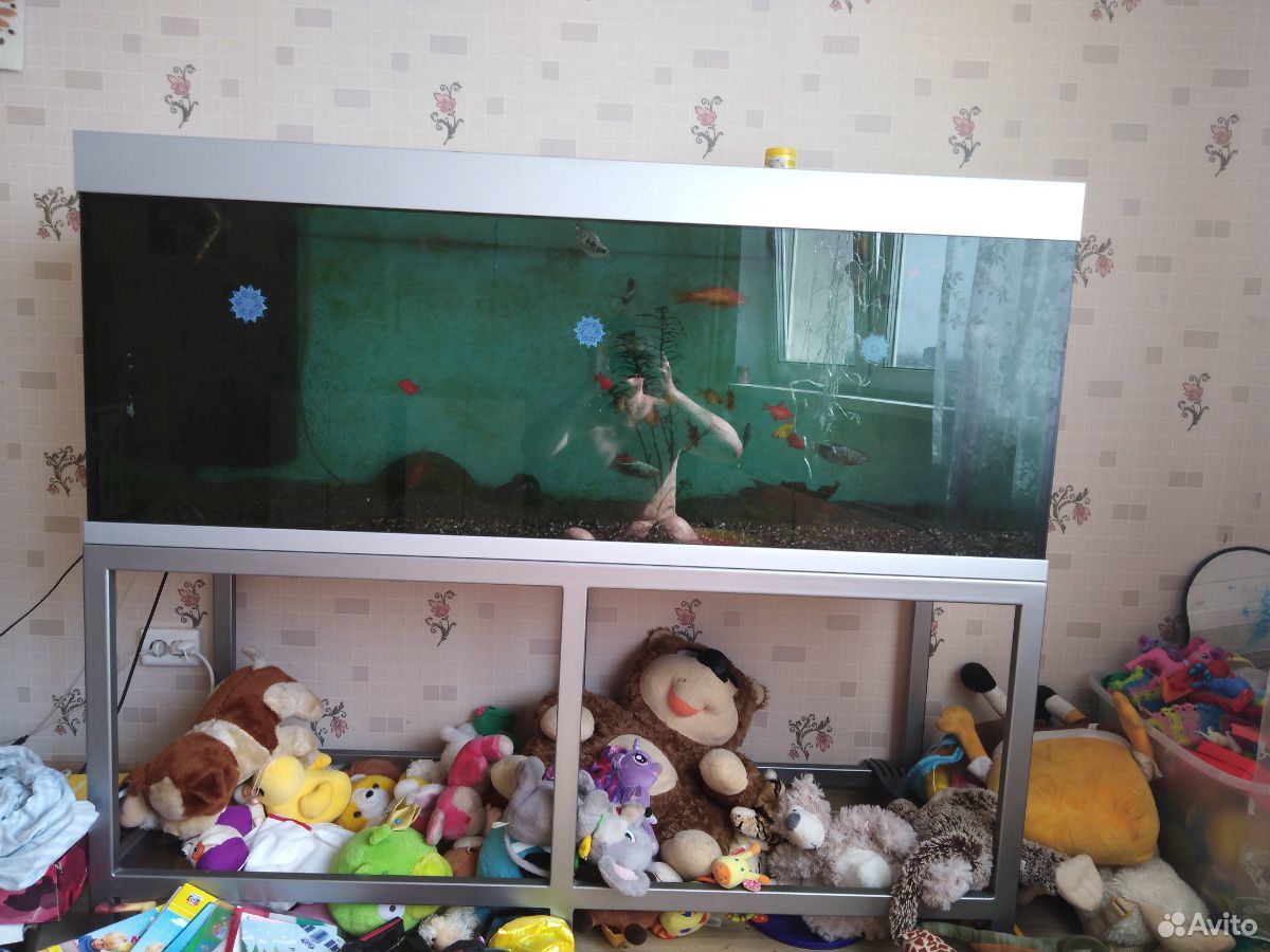 Аквариум