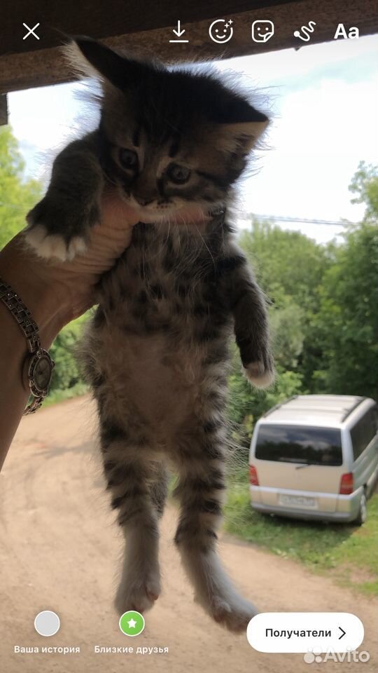 Мусёк в добрые руки