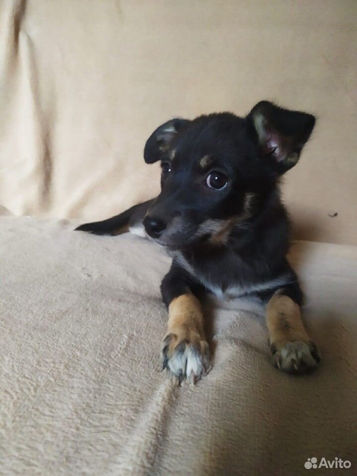 Джулия ищет дом, будет маленькой