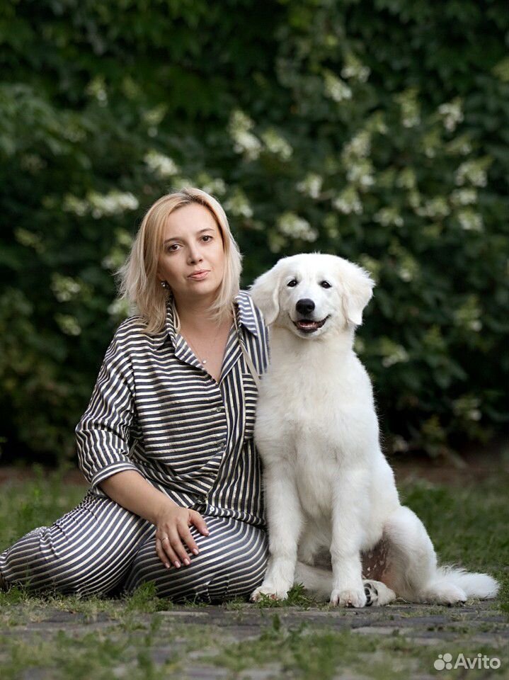 Девочка мареммо-абруцкой овчарки