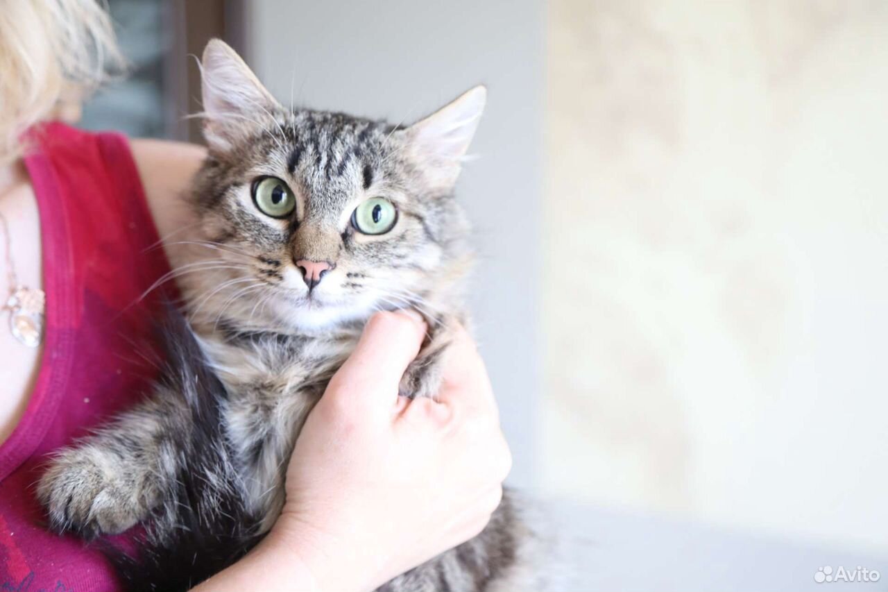 2 сестрички сибирячки ищут дом