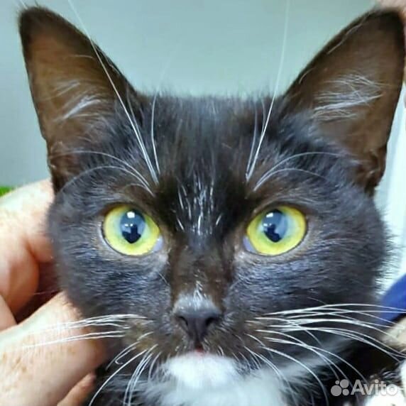 Всем нужен дом