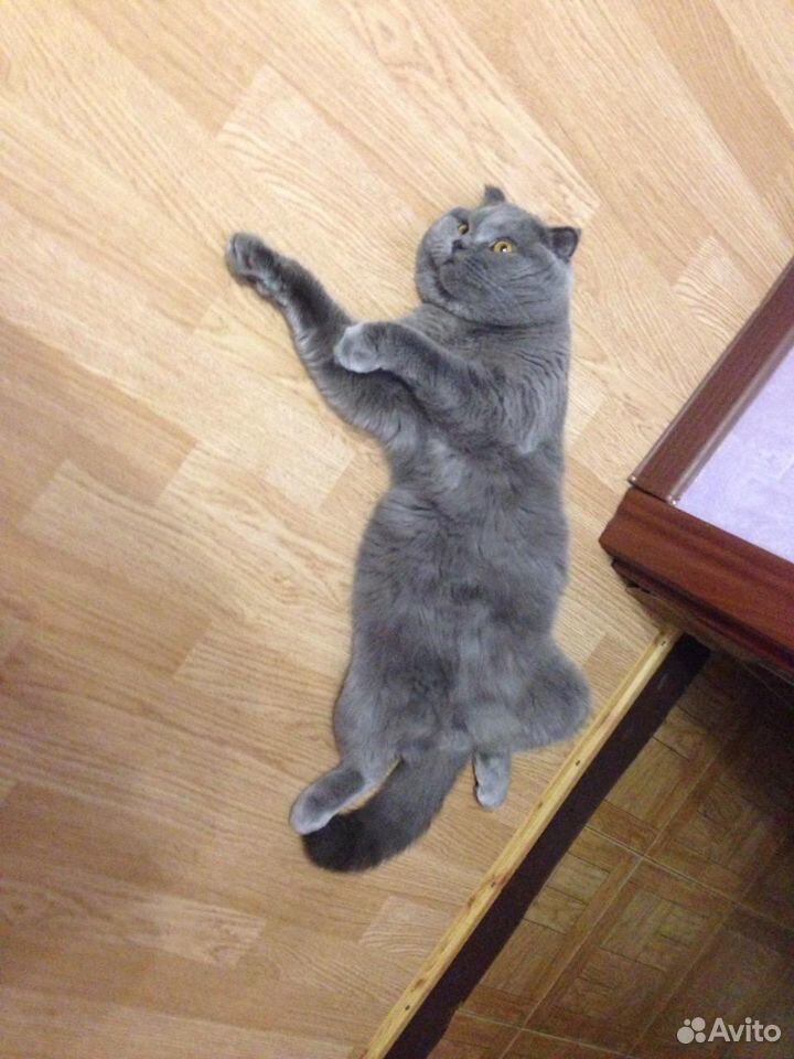 Вязка