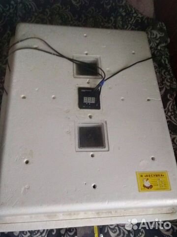 Инкубатор несушка