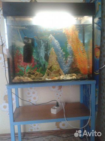 Продам аквариум
