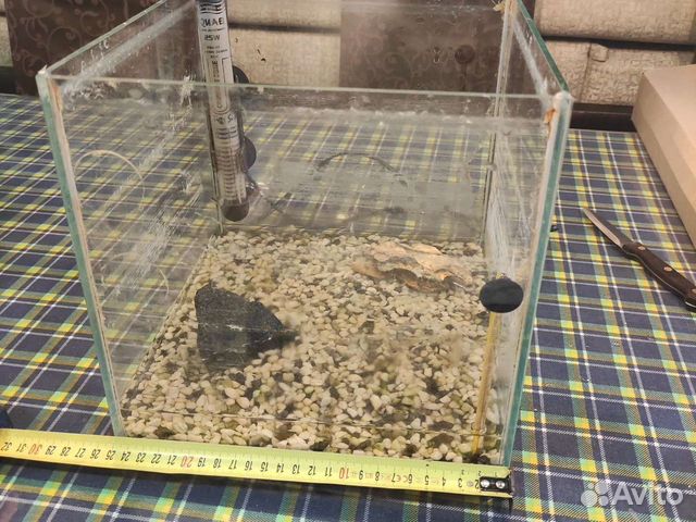 Аквариум нано куб 15л 25х25х25 с оборудованием и р