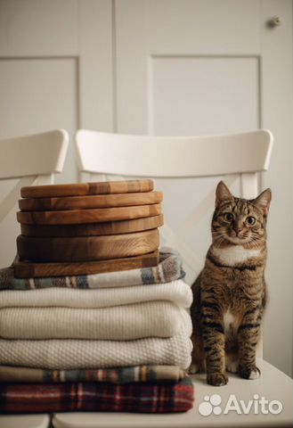 Кошечка в добрые руки