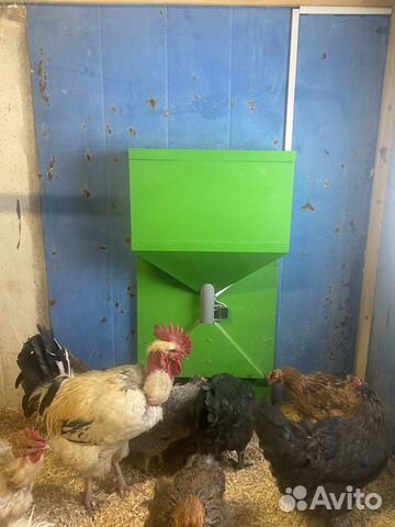 Автоматическая кормушка для кур