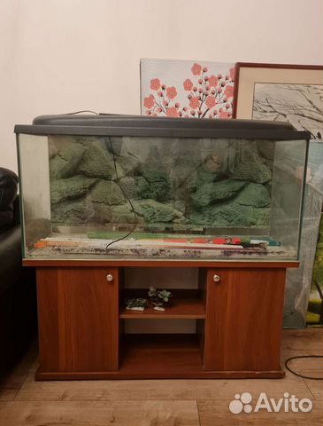 Большой аквариум