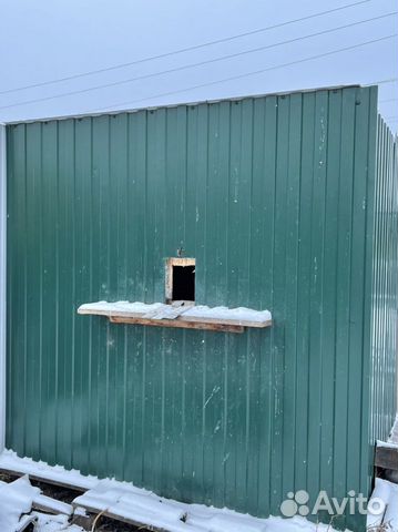 Голубятня продажа