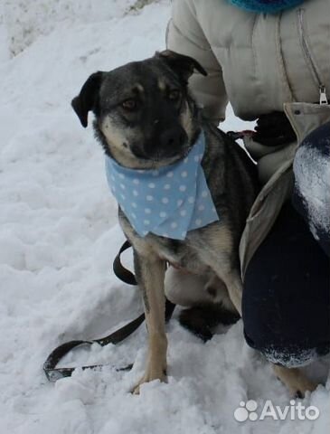 Ярик заслуживает счастье