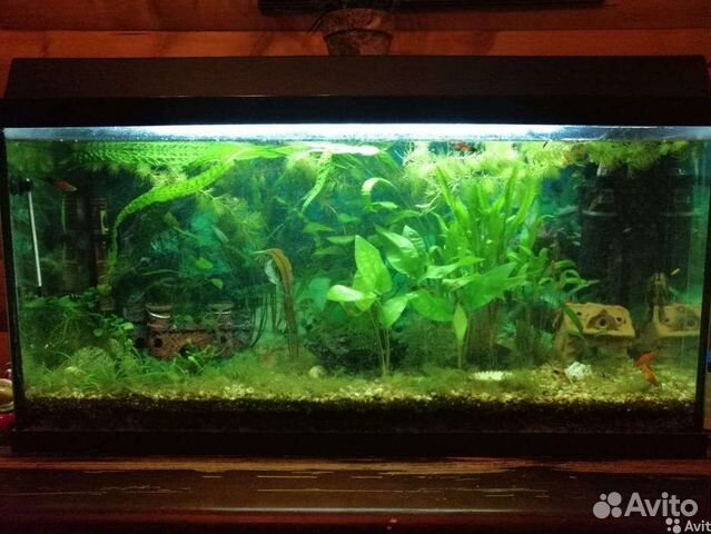 Аквариум + тумба бу