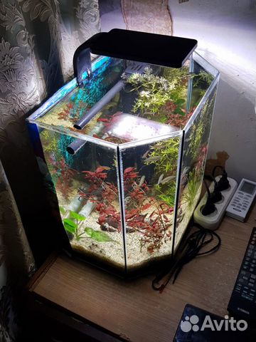 Аквариум
