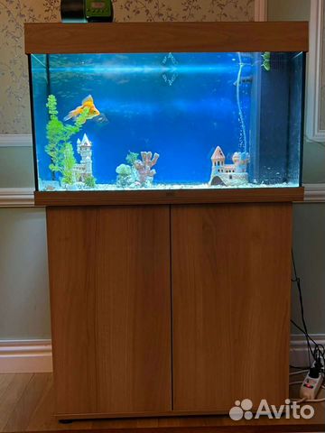 Аквариум