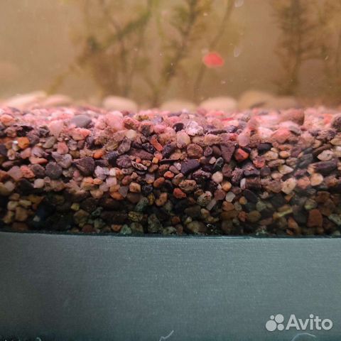 Грунт для аквариума