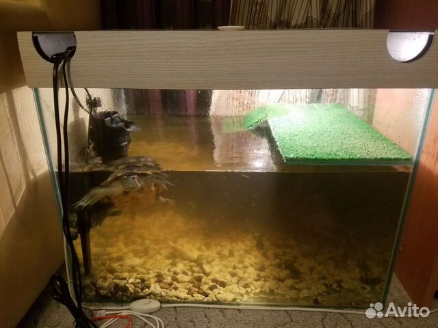 Черепаха полный комплект/аквариум для черепахи