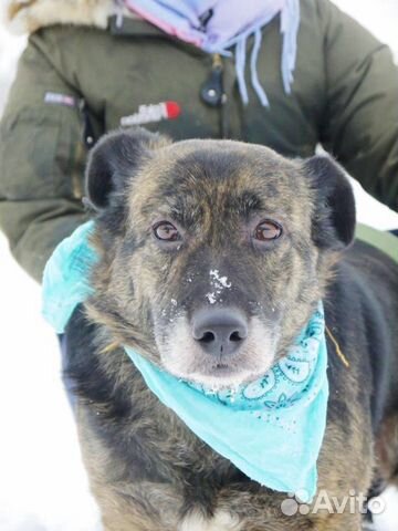 Нежная и робкая Баллин хочет домой