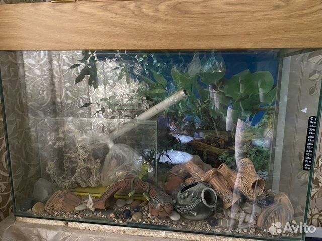 Аквариум с тумбой