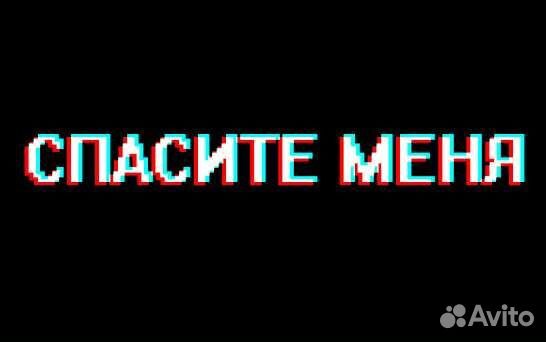 Милый котёнок