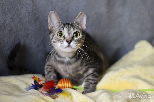 Маленькая, несчастная Крутышка