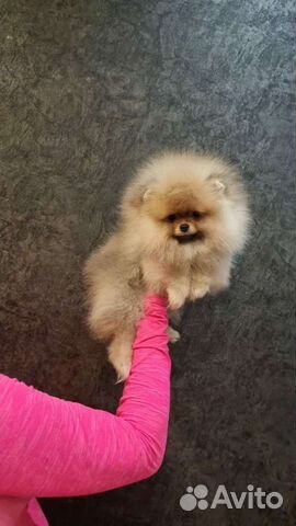 Очаровательный пупс