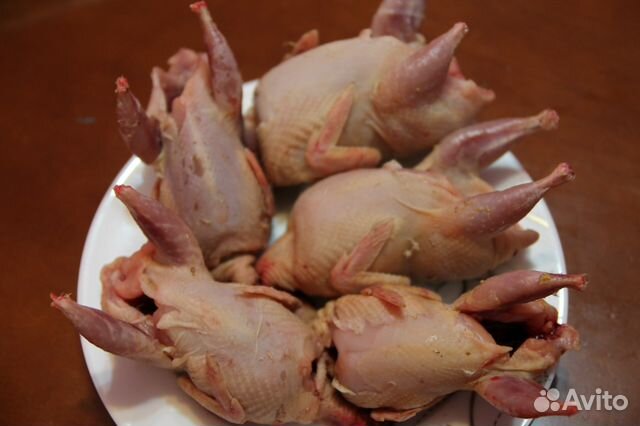 Мясо перепелки