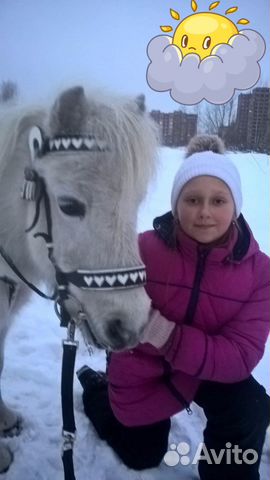 Покатать ребёнка на пони