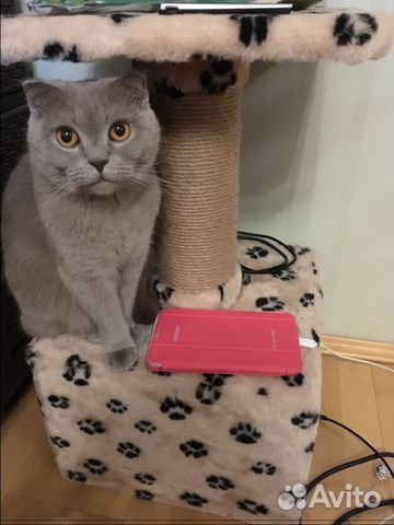 Британка для вязки