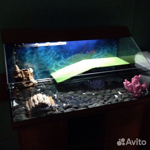 Аквариум