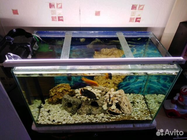 Готовый, укомплектованный аквариум