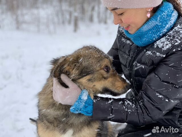 Дай лапу