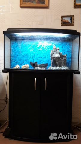 Аквариум