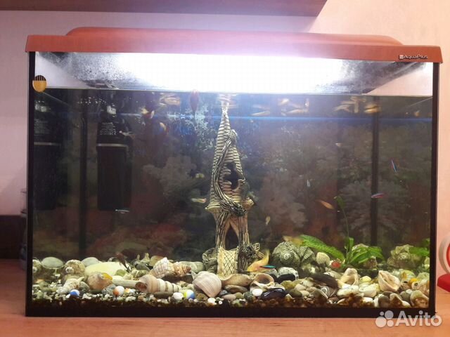 Аквариум с рыбками