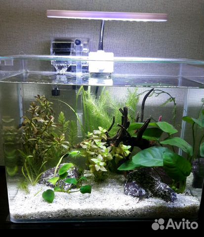 Нано-аквариум Dolphin GT3002 19 литров