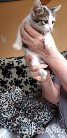 Милый подкидыш. добрые руки