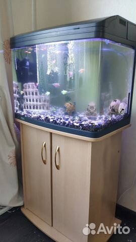 Аквариум 100 л