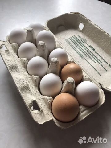 Яйца домашние