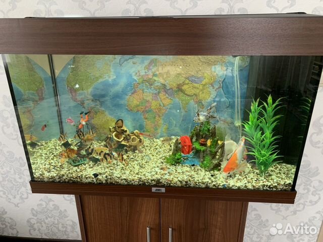 Аквариум juwel