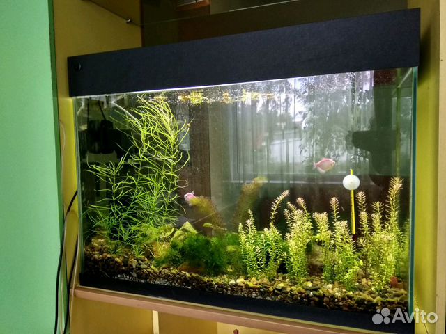 Аквариум 150л