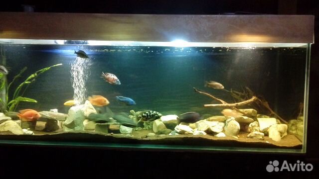 Продам аквариум 400л