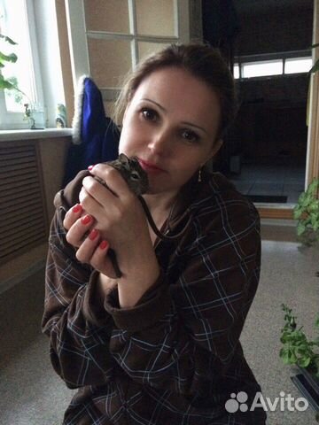 Отдам в хорошие руки дегу