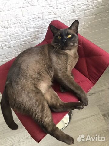 Вязка бурма