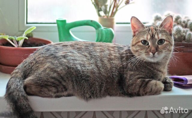 Молодая ласковая и нежная красавица Ёлочка