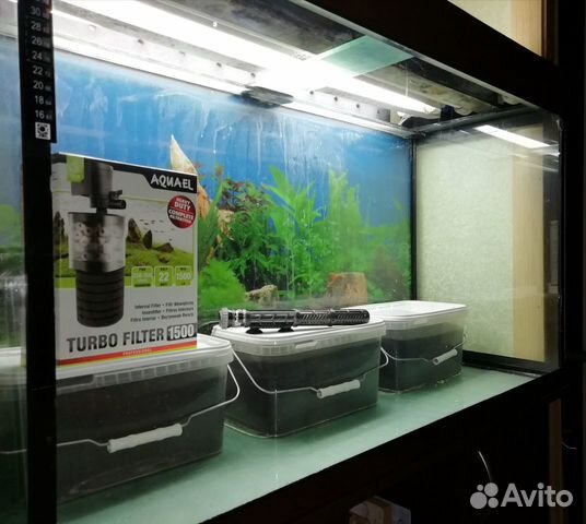 Аквариум + оборудование