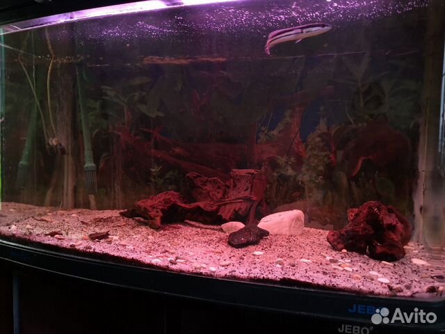 Продам аквариум jebo R 390