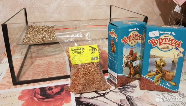 Черепашник с островком